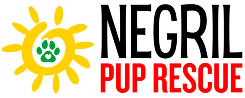 HURRICANE MELISSA - Negril Pup Rescue